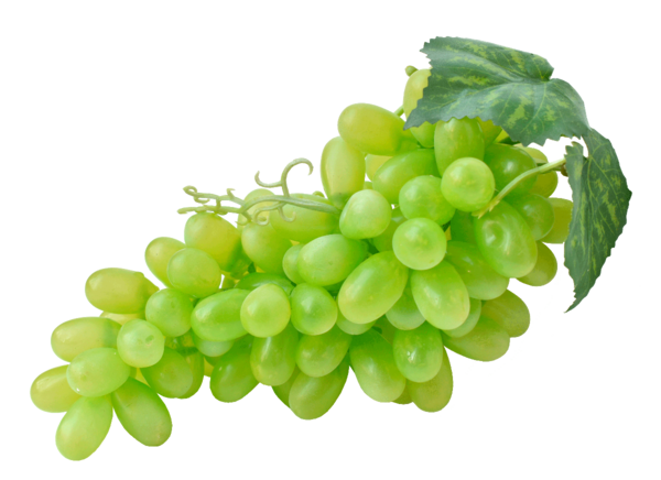 Виноград Томпсон – купить по приятной цене с доставкой на дом в ...
